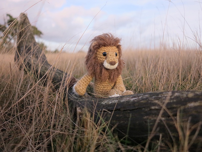 Lopi lion teaser picture